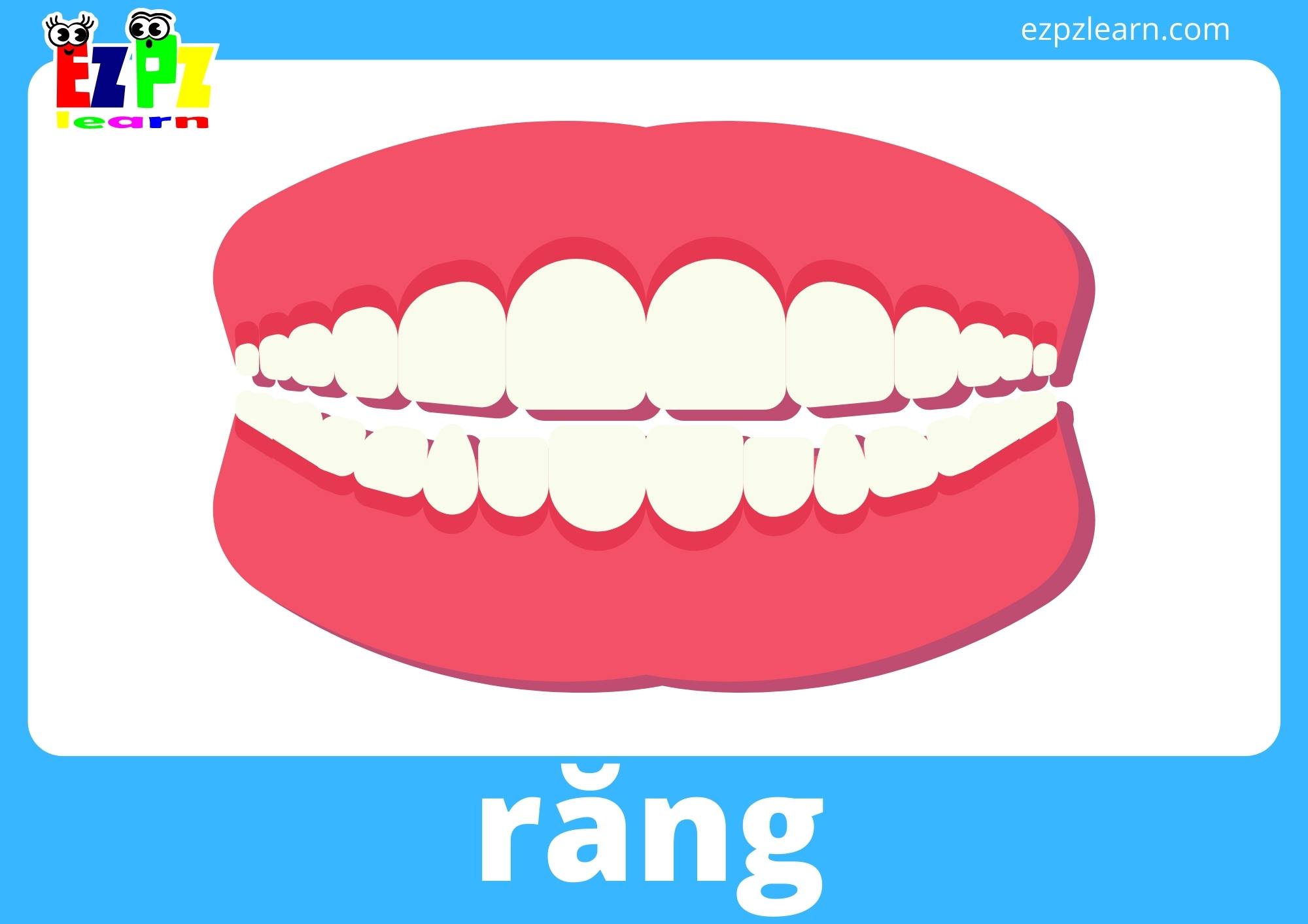 Body Parts - Ezpzlearn.com